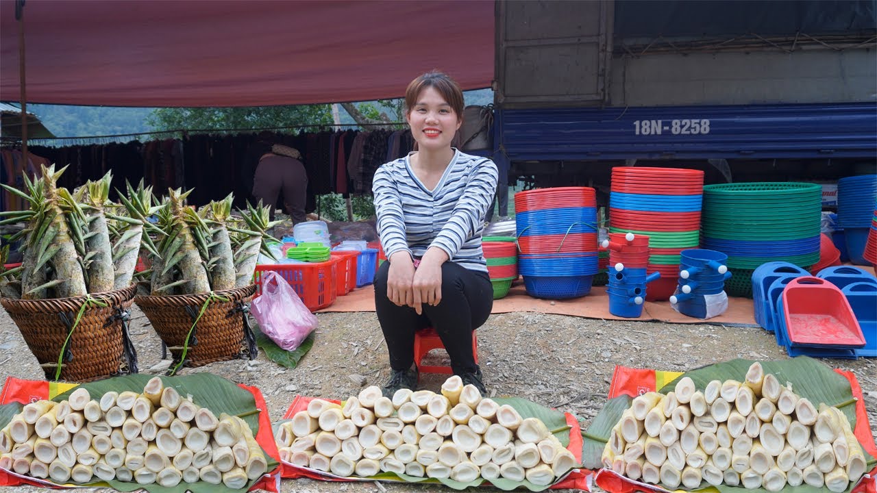Harvest Sweet Bamboo Shoots In The Forest Garden & Process And Clean ...