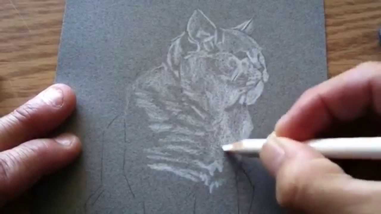 HOW I DRAW A BRITISH SHORTHAIR CAT - YouTube