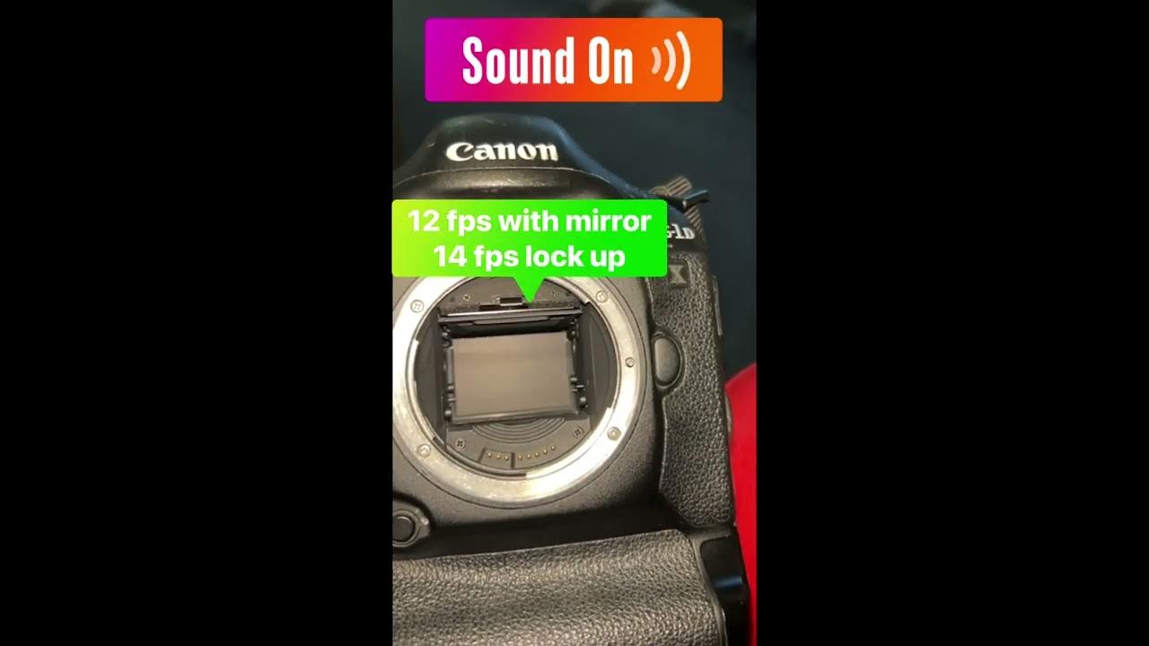 The Canon EOS 1Dx shutter sounds 12 and 14 fps - YouTube
