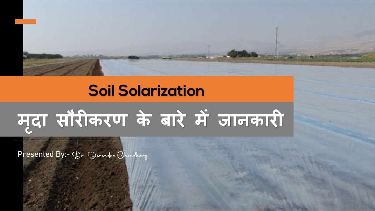 Soil solarization method and advantages | मृदा सौरीकरण के फायदे @doctor ...