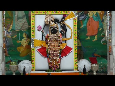 |7/9/2022 Dan ekadashi,or baman dvadashi ki sabhi ko badhai#girirajji# ...