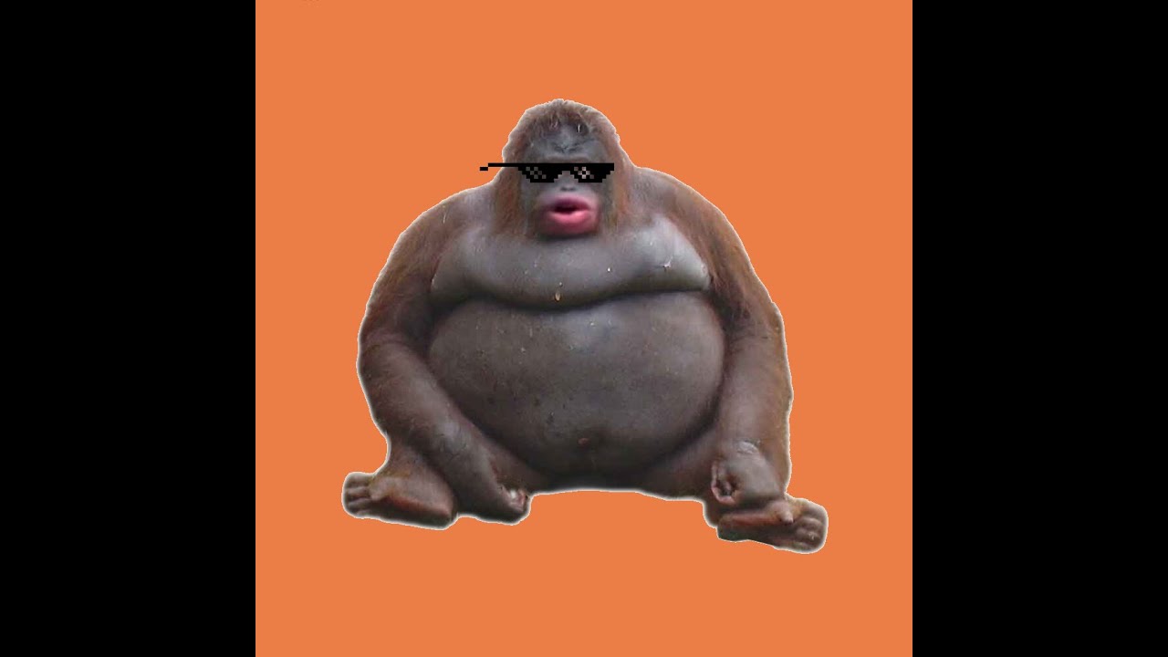 NFT monkey game in roblox - YouTube