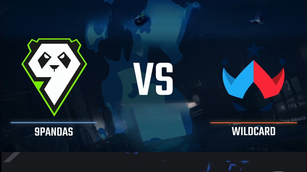 🏆 9 Pandas vs Wildcard 🏆 Grand Final | 2025! - YouTube