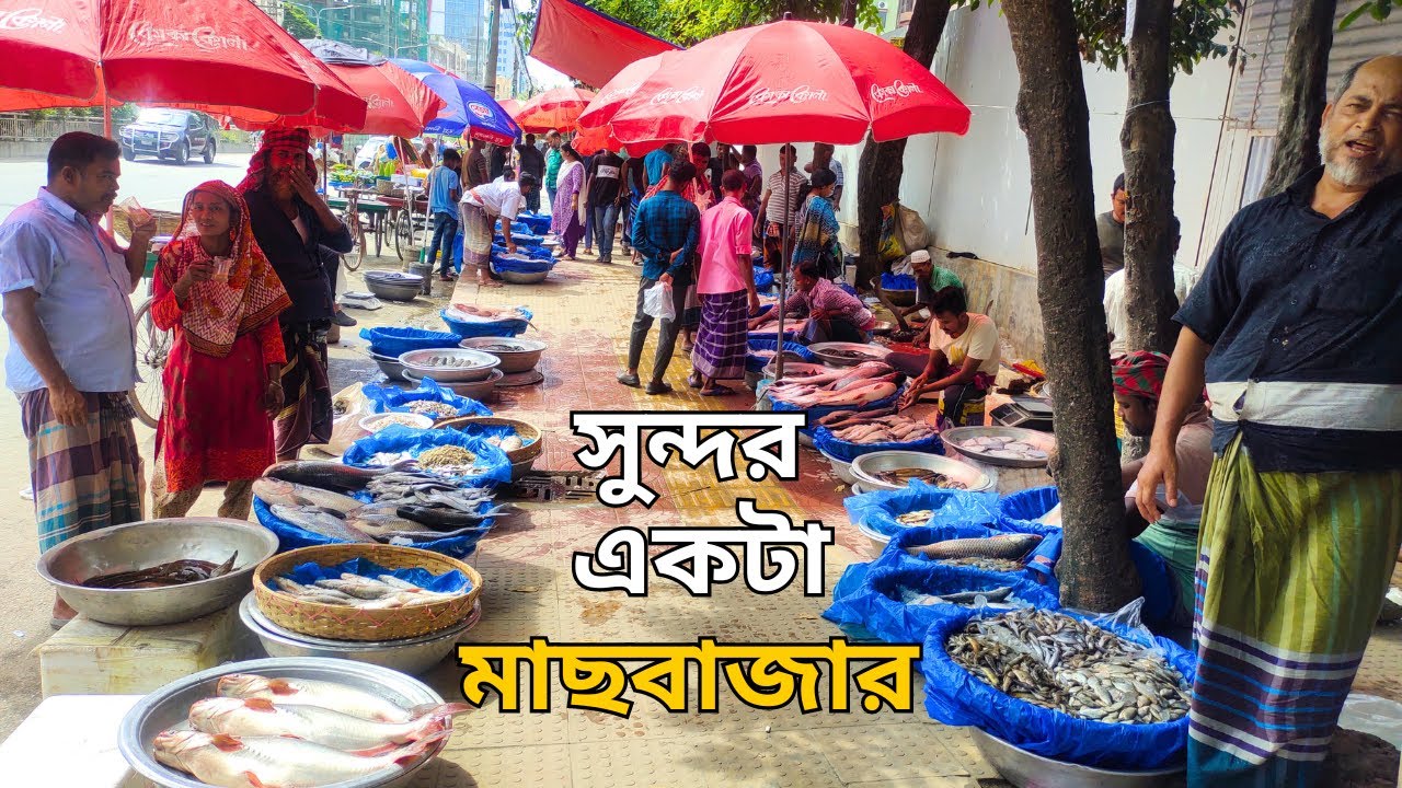 তরতাজা মাছে ভরপুর বাজার, আজকের বাজারে মাছের দাম দেখে নিন, ধানমন্ডি ৫এ ...