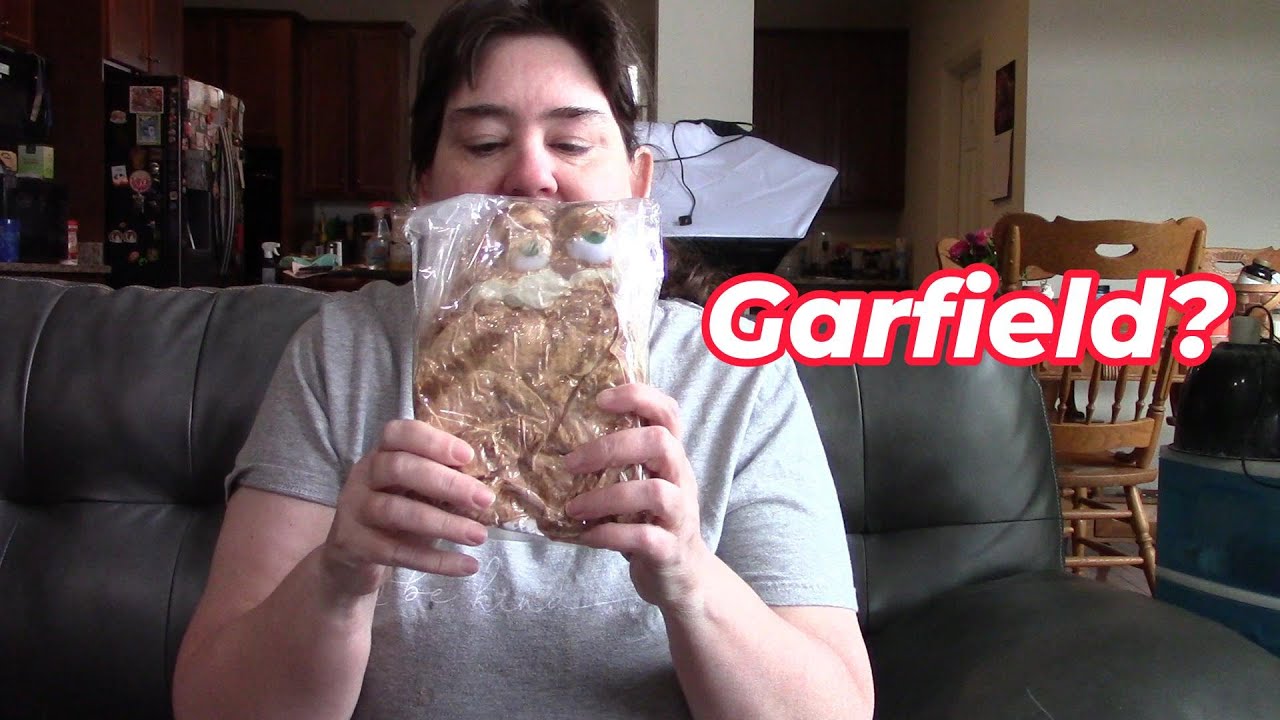 Fat Orange Fake Garfield Plush! 😂 - YouTube