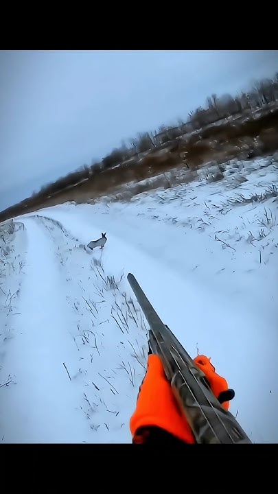 Tracking and Tactics: How to Land the Perfect Rabbit #hunting #rabbit # ...