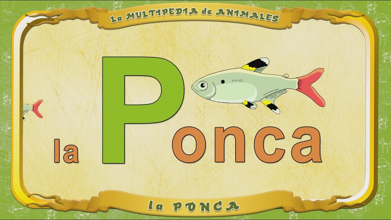 la Multipedia de animales. Letra P - la Ponca - YouTube