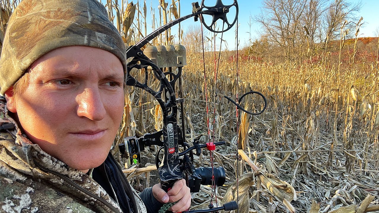 DEER DOWN - Close Quarters Bow Hunting - YouTube
