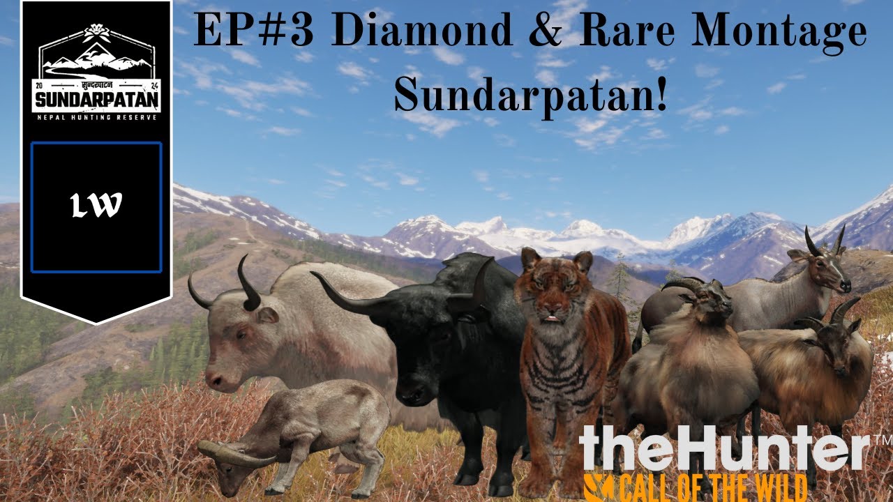 #3 Diamond & Rare Montage Sundarpatan - Thehunter Call of the Wild ...