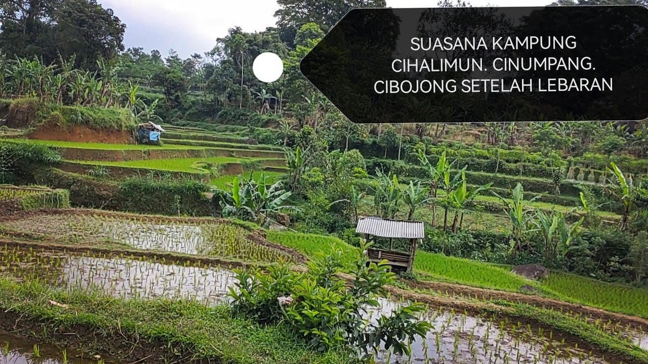 Suasana Kampung CIHALIMUN CINUMPANG CIBOJONG CILAWU GARUT Setelah ...