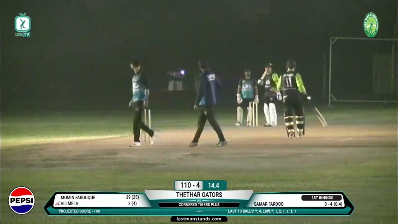Match Highlights: Cornered Tigers Plus Vs Thethar Gators - YouTube