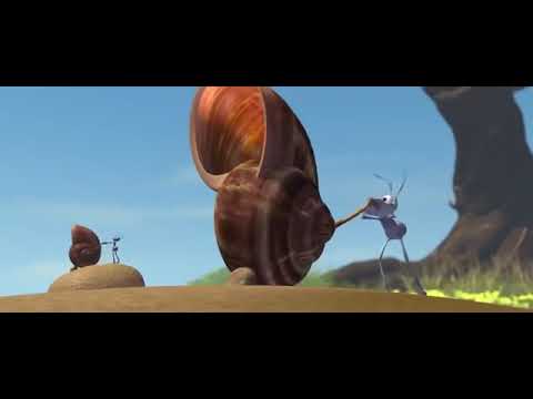 Vida de Inseto 2 filme completo e dublado - YouTube