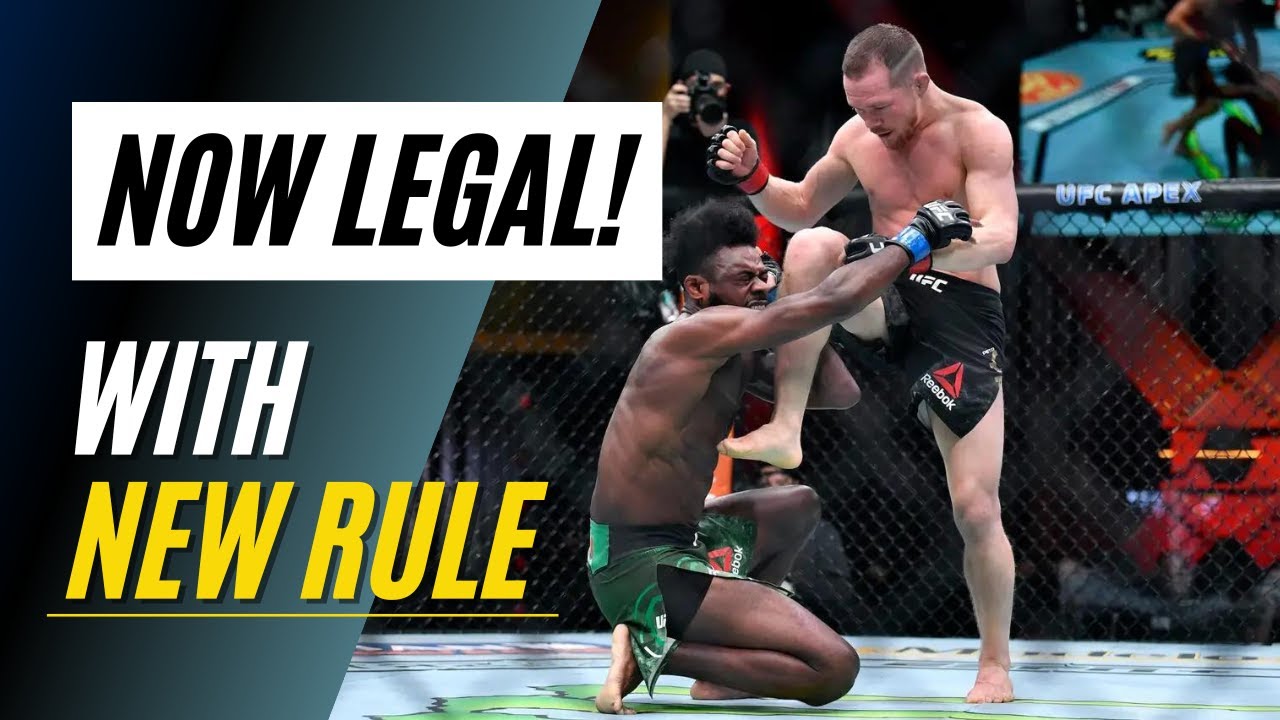 The New UFC Rule For Knee's To a Grounded Opponent - YouTube