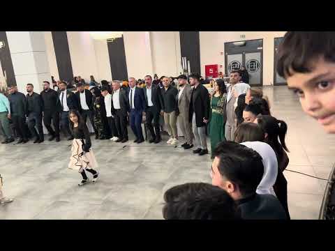 KOMA ROJ FUL BULLUR VIRANŞHIR BERDE BRA WERE