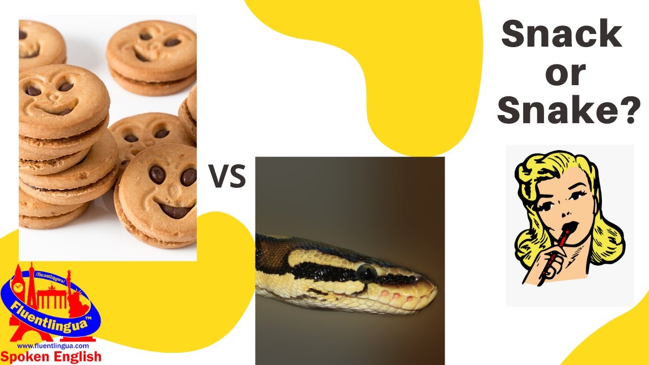 Snack vs Snake - YouTube