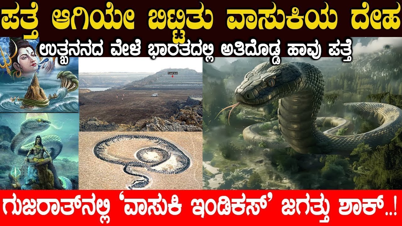 ಪತ್ತೆ ಆಗಿಯೇ ಬಿಟ್ಟಿತು ವಾಸುಕಿಯ ದೇಹ..! ವಿಶ್ವದ ಅತಿ ದೊಡ್ಡ ಹಾವು || World's ...