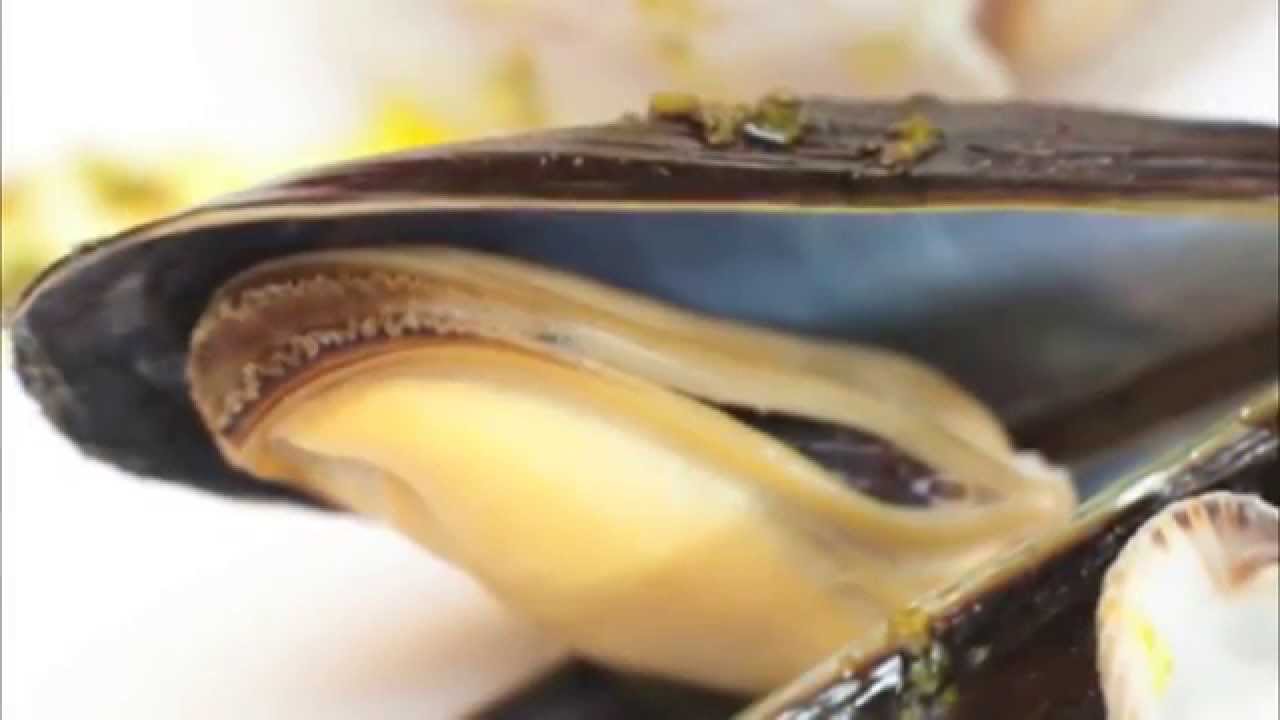 DIGGY RAST: Ode aan de flamoes - YouTube