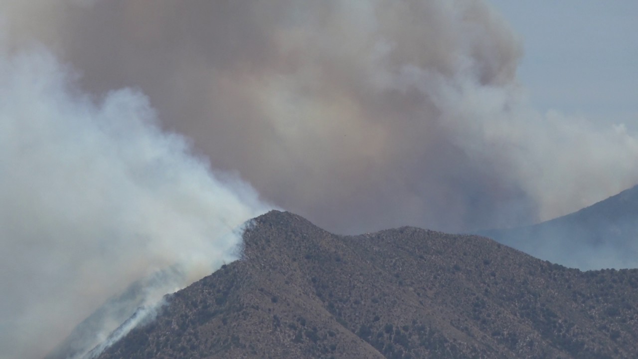 Lizard Fire - YouTube