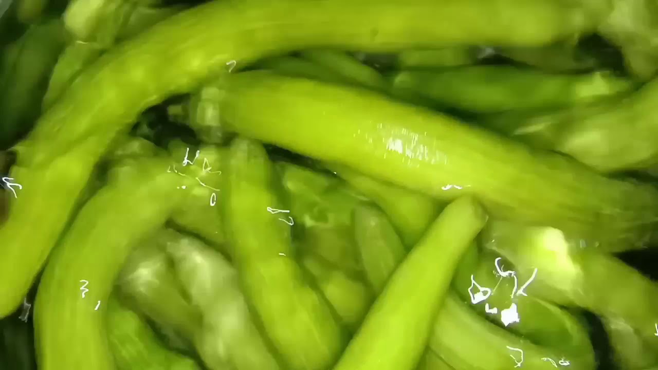 TAR / Kakri / Armenian cucumber /snake melon / snake Cucumber / Fresh ...