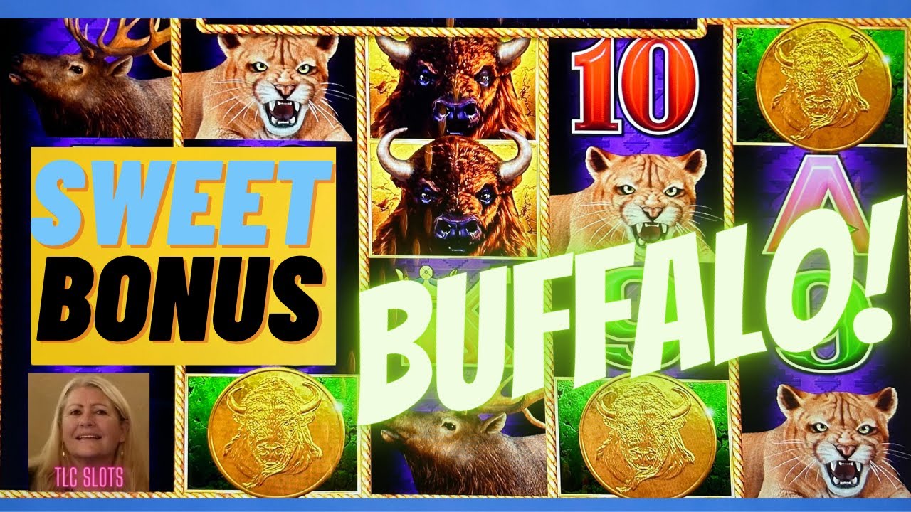 😱Check This Buffalo Win Out!💰Buffalo Link!🦬 TLC Slots - YouTube