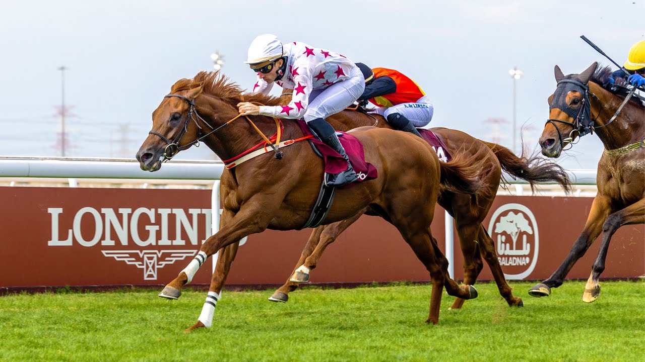 RM 26 Al Rayyan Race 5 H.H The Amir Sword and Trophy - YouTube