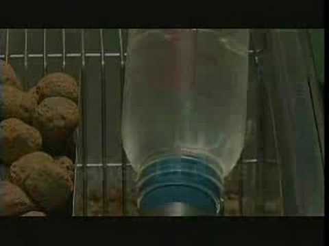 Alkalark - YouTube