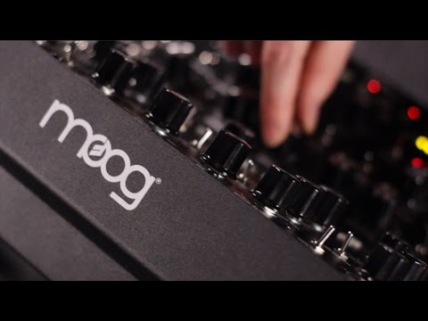 Solar Rise | Mother-32