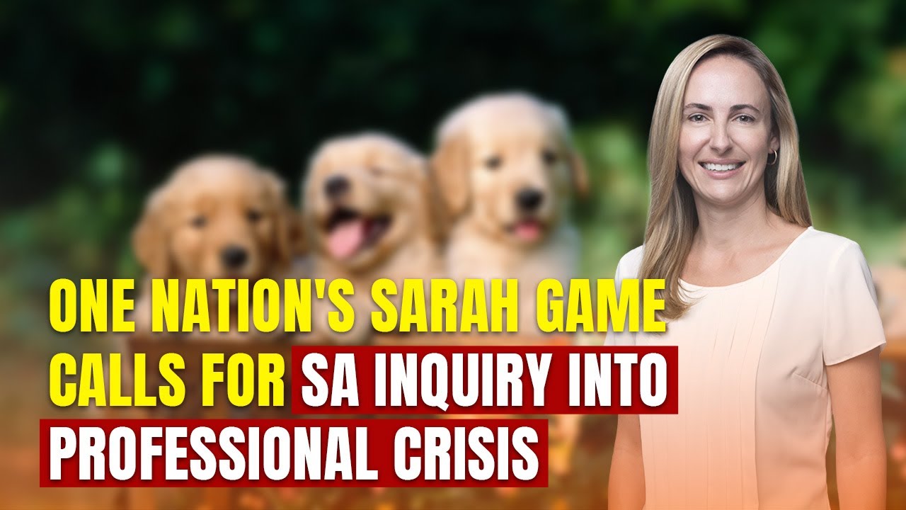 One Nation's Sarah Game Calls for SA Inquiry into Professional Crisis ...