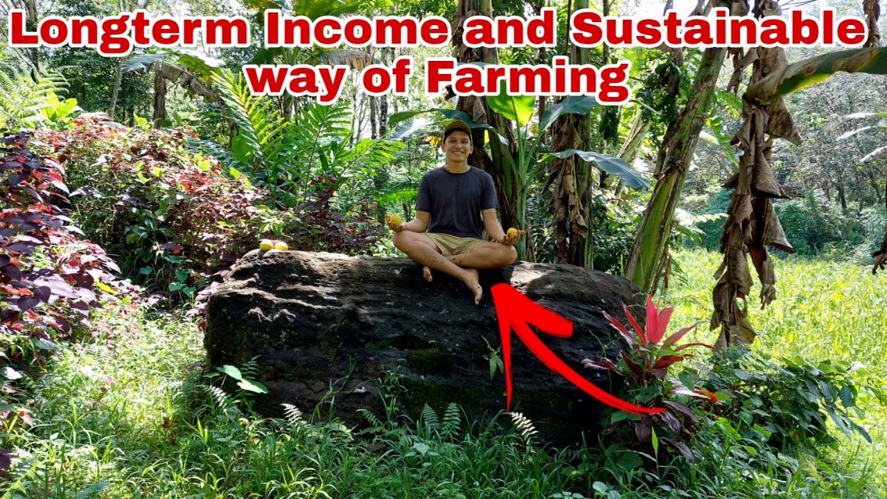 Paano mag Farming na Walang Lugi at Sustainable | Permaculture Benefits ...