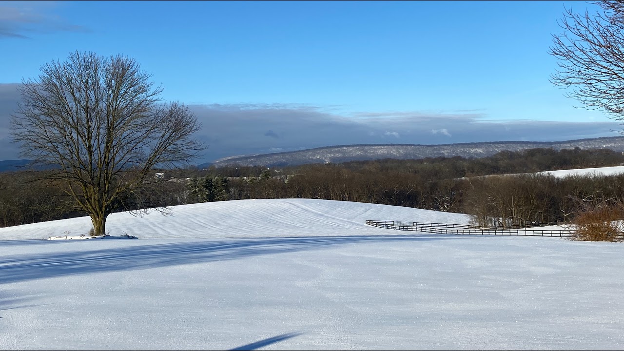 Tim Rodman Live Stream - YouTube