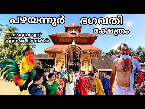 Pazhayannur | Pazhayannur Bhagavathy Temple | പഴയന്നൂർ ഭഗവതി ക്ഷേത്രം ...