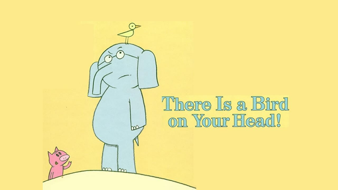 There is a Bird on Your Head! - YouTube