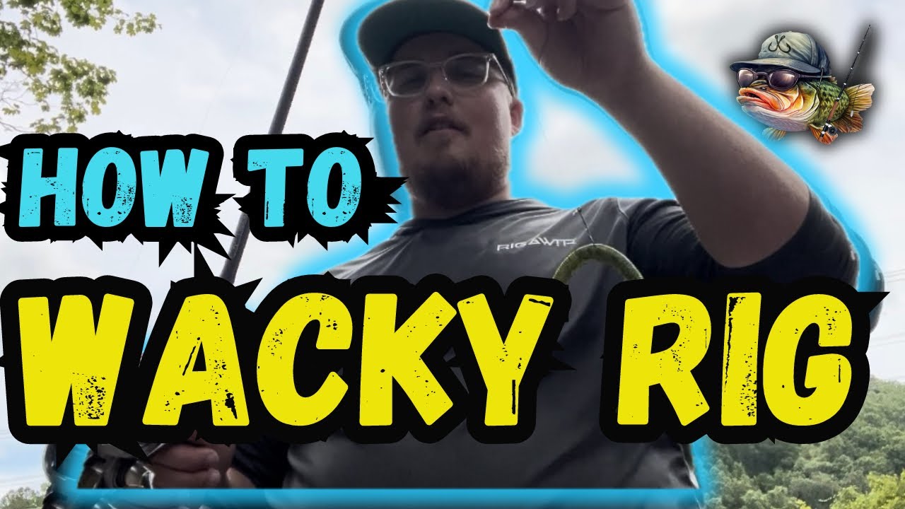 HOW TO - WACKY RIG TUTORIAL!!! - YouTube