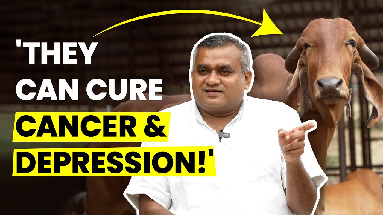 'Why you should spend more time with cows?' | Sri Sri Gaushala | Art of ...