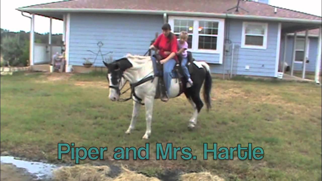 Piper horse project - YouTube