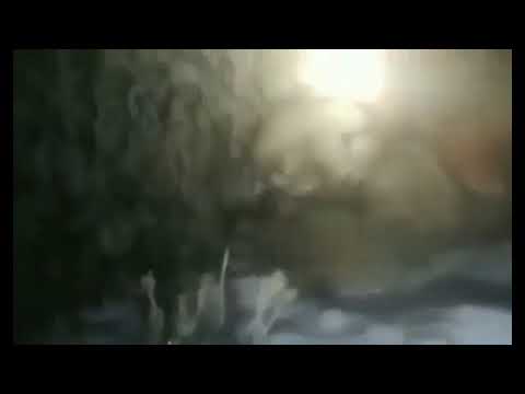 Kangal kurdu boğuyor