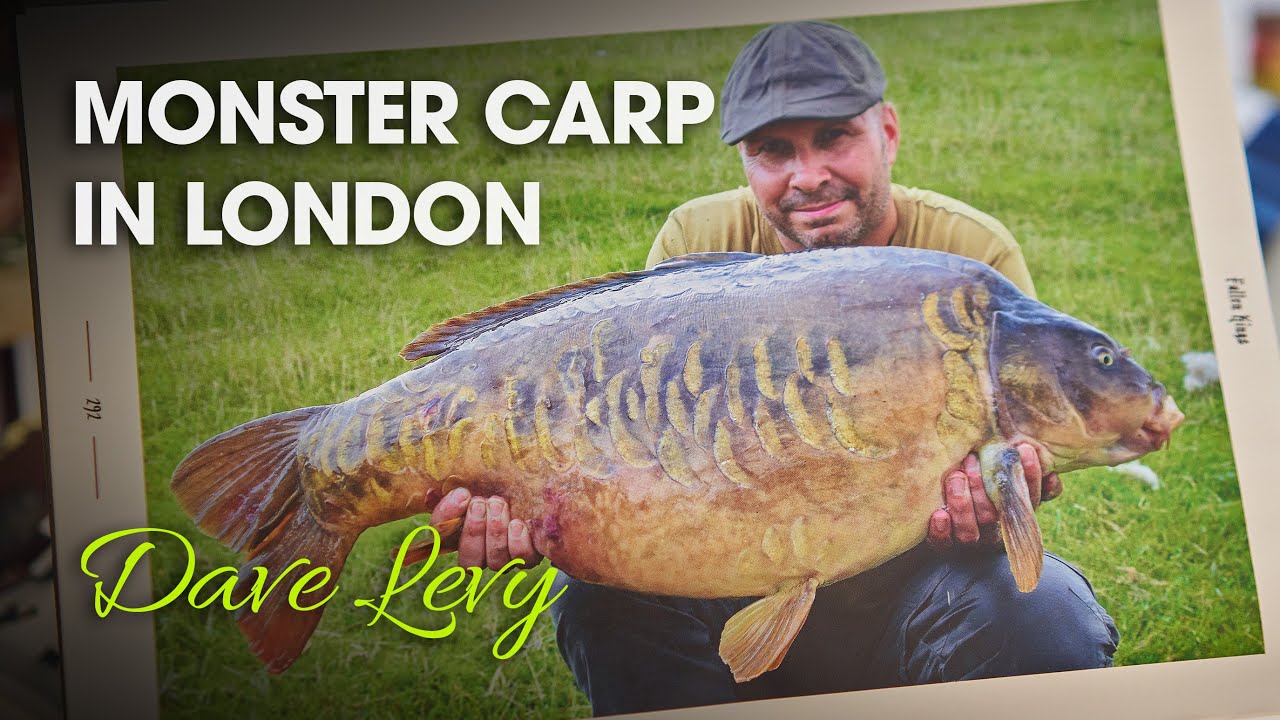 Monster Carp In LONDON! - Dave Levy - YouTube