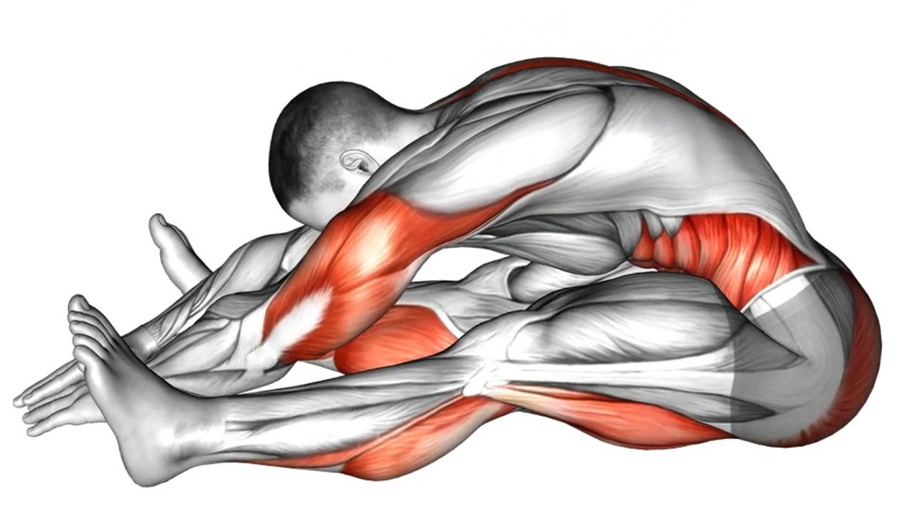 Top 10 Back Exercises for a Stronger, More Toned Back - YouTube