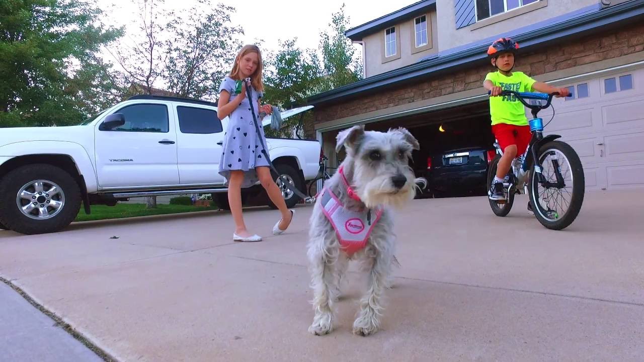 Book Chat: Ingrid Tague - YouTube