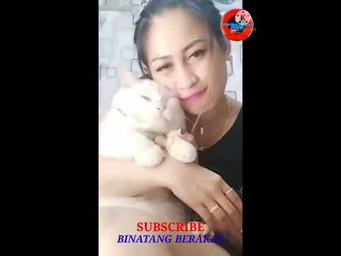 KUMPULAN TIKTOK TANTE LISA
