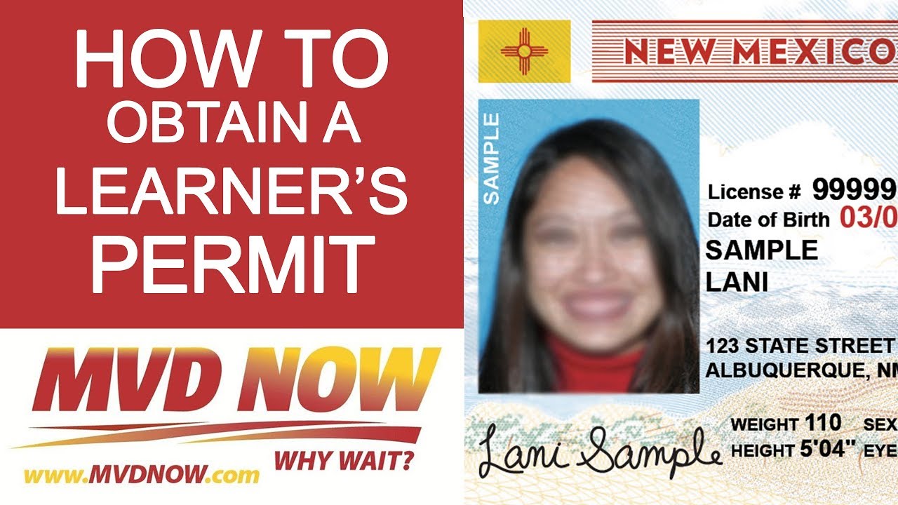How To Obtain A Learners Permit - Requirements - YouTube