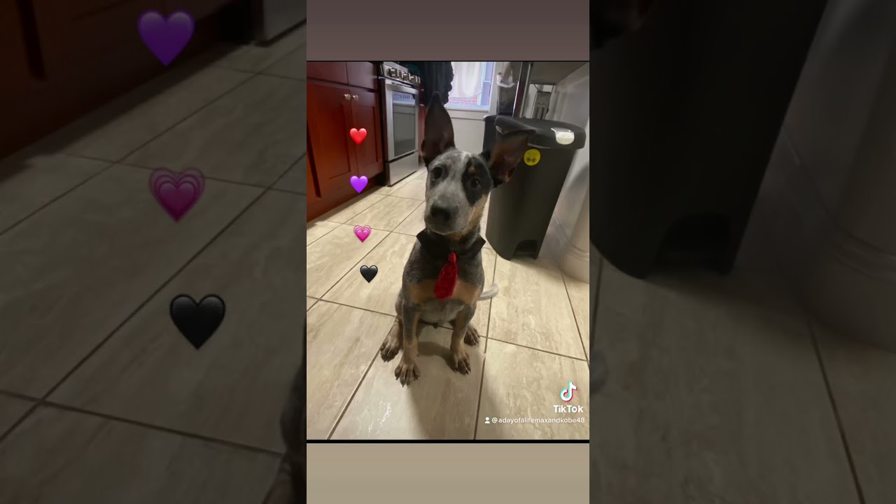 Please type in comments - YouTube