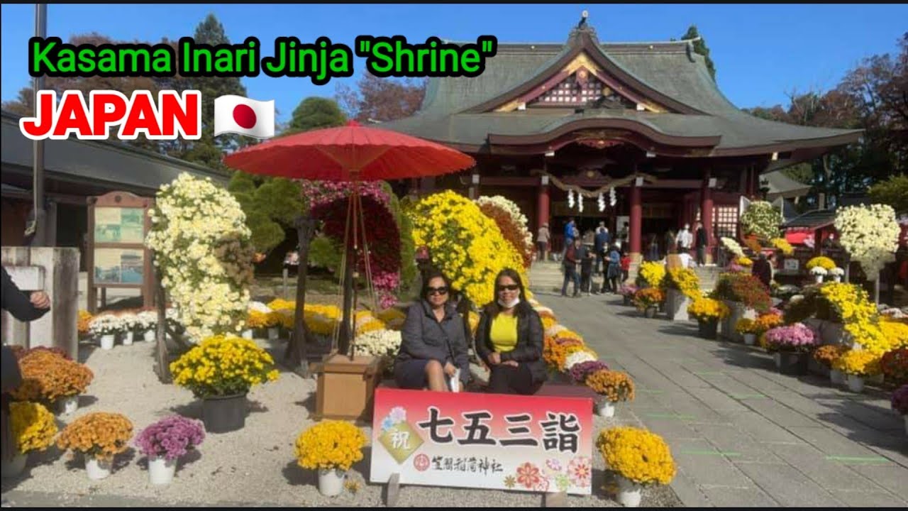 Kasama Inari Jinja "Shrine" || CHRYSANTHEMUM FLOWER FESTIVAL 2021 @sakuralakwachera9382 - YouTube