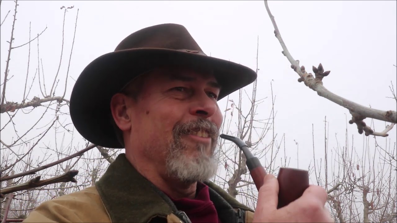 Photo safari ing east of the mountains - YouTube