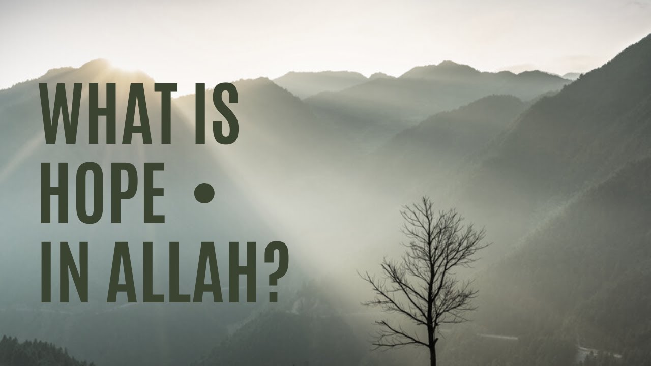 Never Lose Hope in Allah | Allah par Yaqeen - YouTube