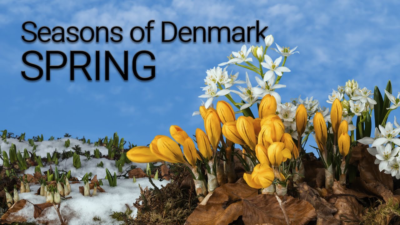 Seasons of Denmark - Spring (a timelapse film from Skjoldungernes Land ...