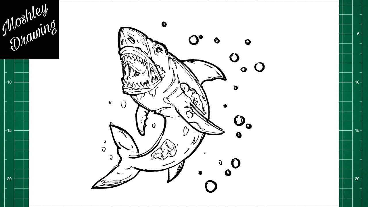 How to Draw a Zombie Shark - YouTube