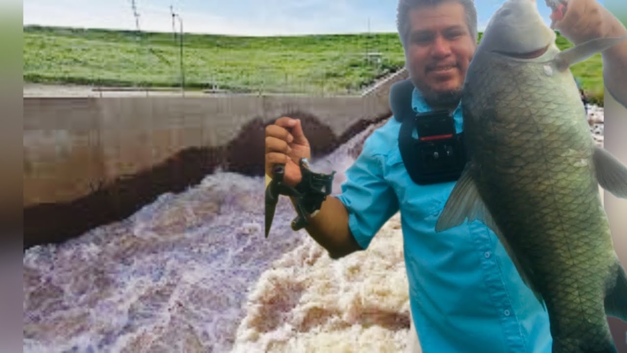 Catching monsters at Ray Roberts Dam - YouTube