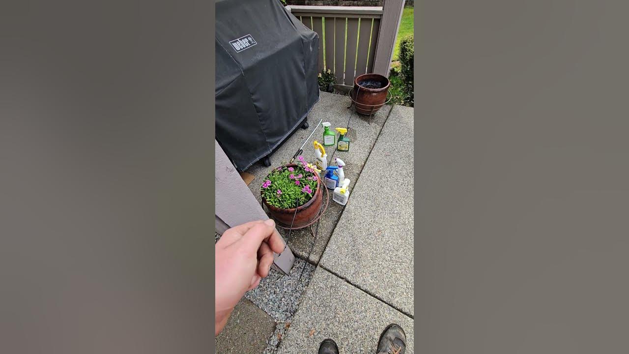 Think Ahead - YouTube