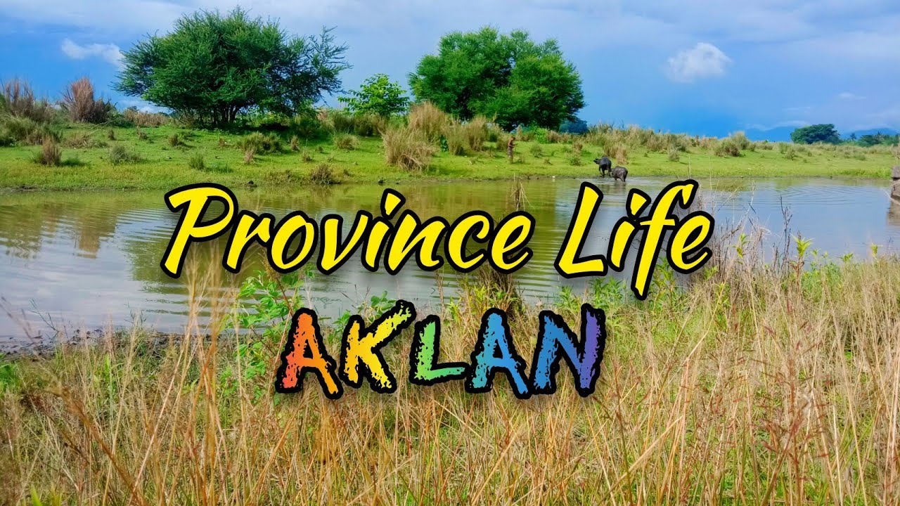 BUHAY PROBINSYA SA AKLAN ll Simple, Presko at Tahimik na Lugar.😊 - YouTube